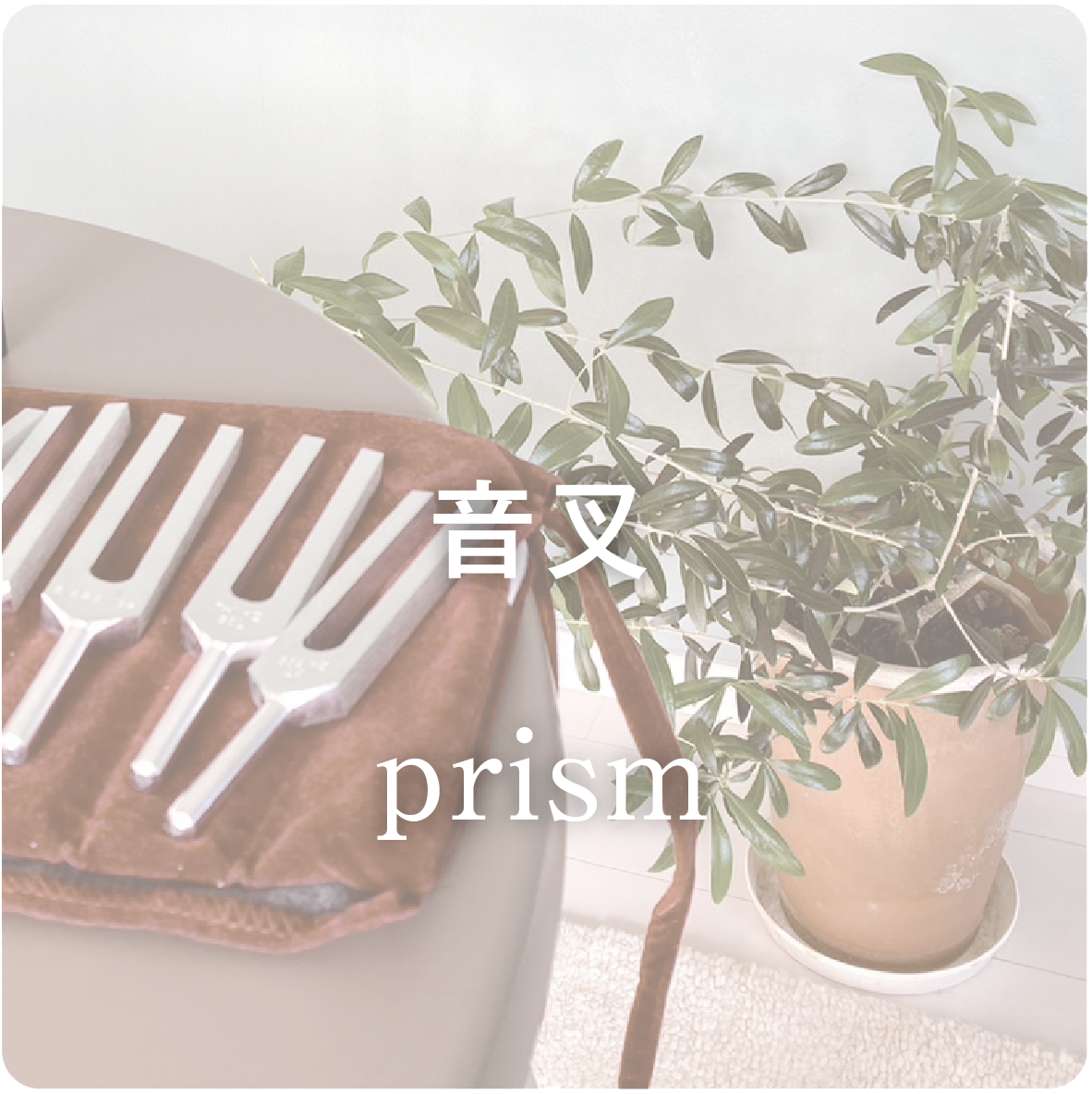 onsa_image | facoprism